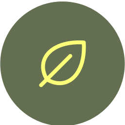 Kooji - Artisanal indian perfumes – Kooji Perfumes